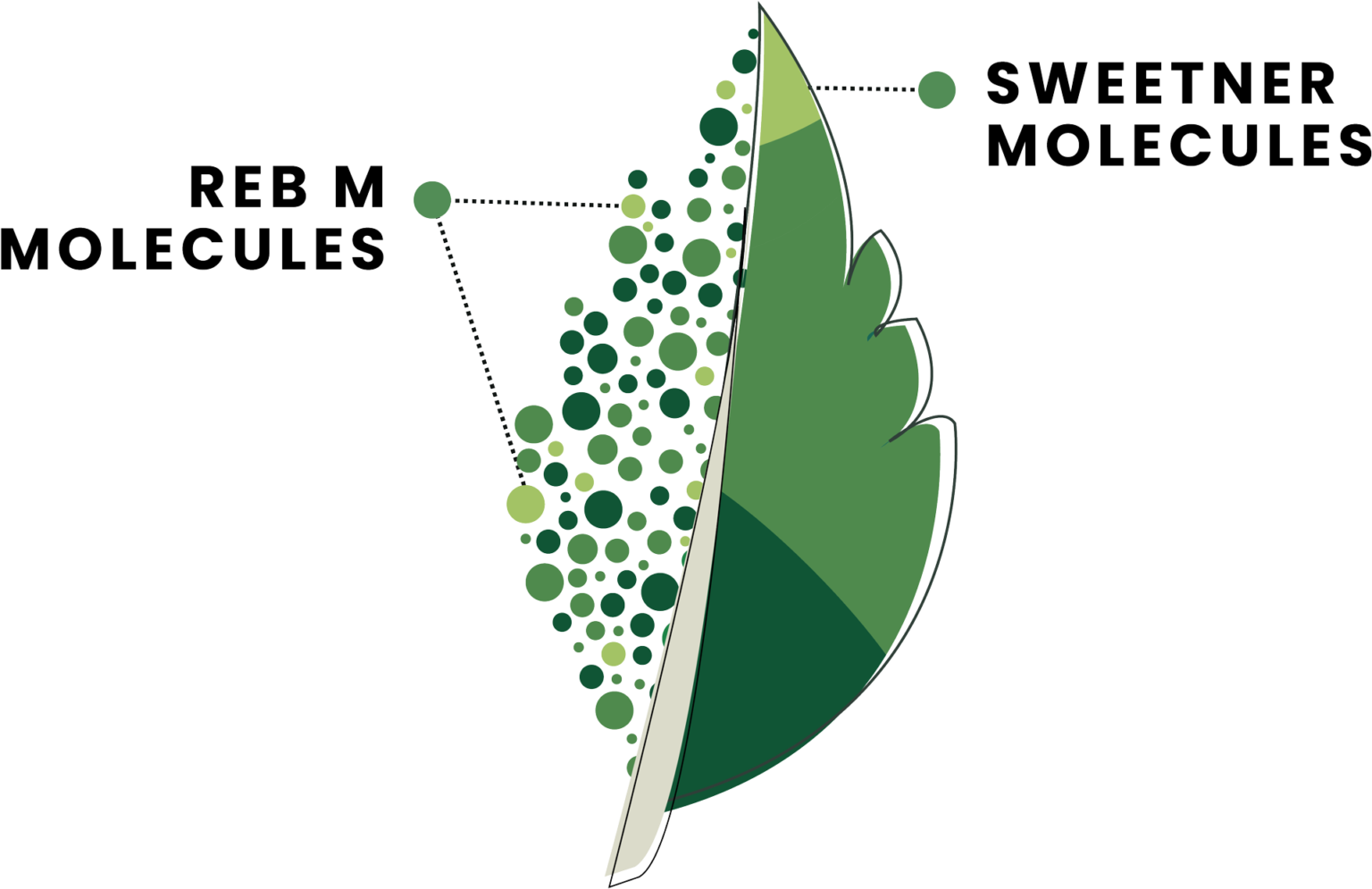 Product - NutraSweet | Natural | Zero Calorie | Sweetener